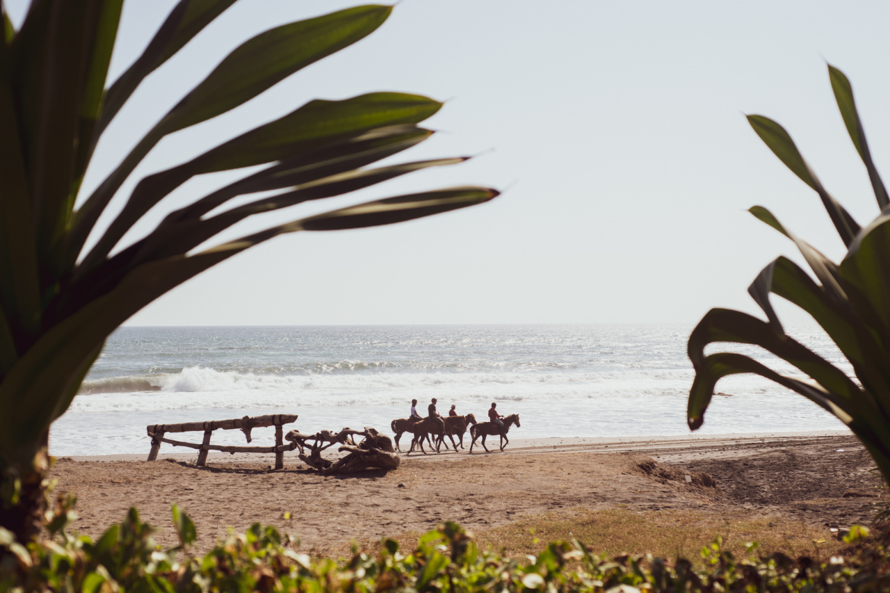 Britt & Pete | Matt Jorgensen Photography